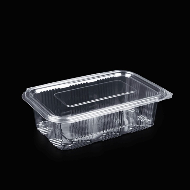 (ESC55) 6x100 750ml Non-Leak PET Hinged Lid Containers